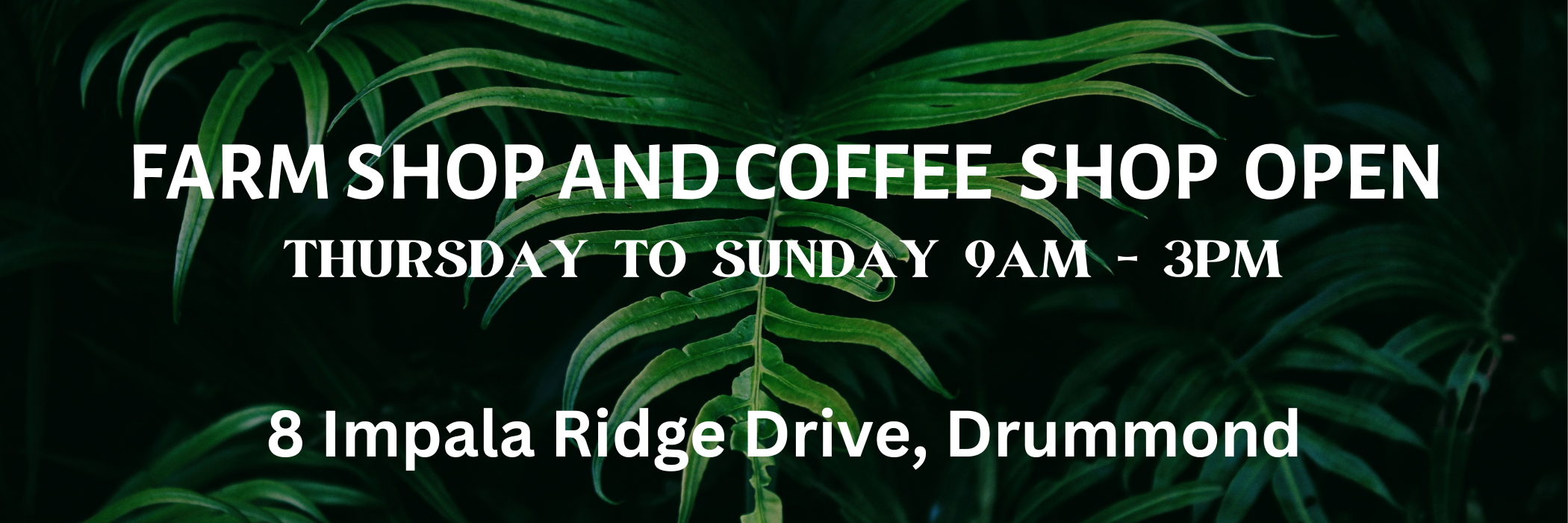 Impala Ridge Farm | ESTD 2020