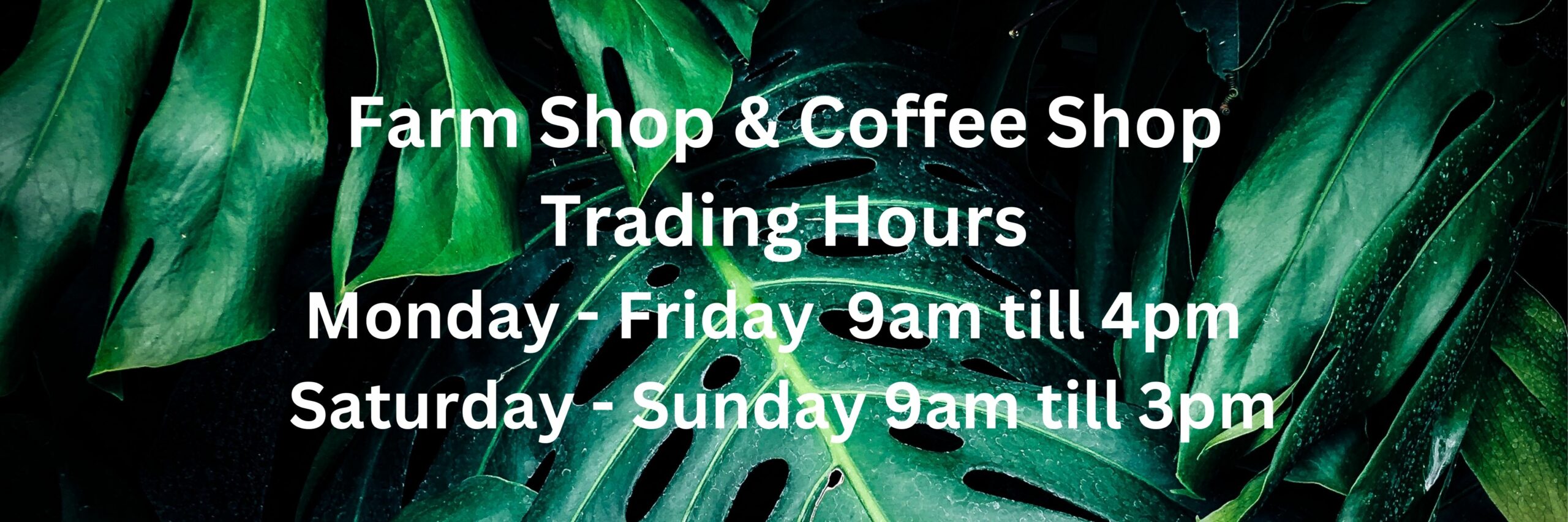 Impala Ridge Farm | ESTD 2020